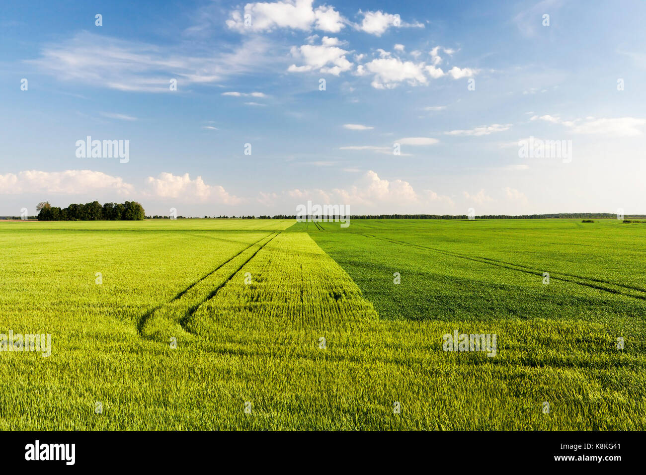 The agricultural field is divided into two halves by a straight line ...