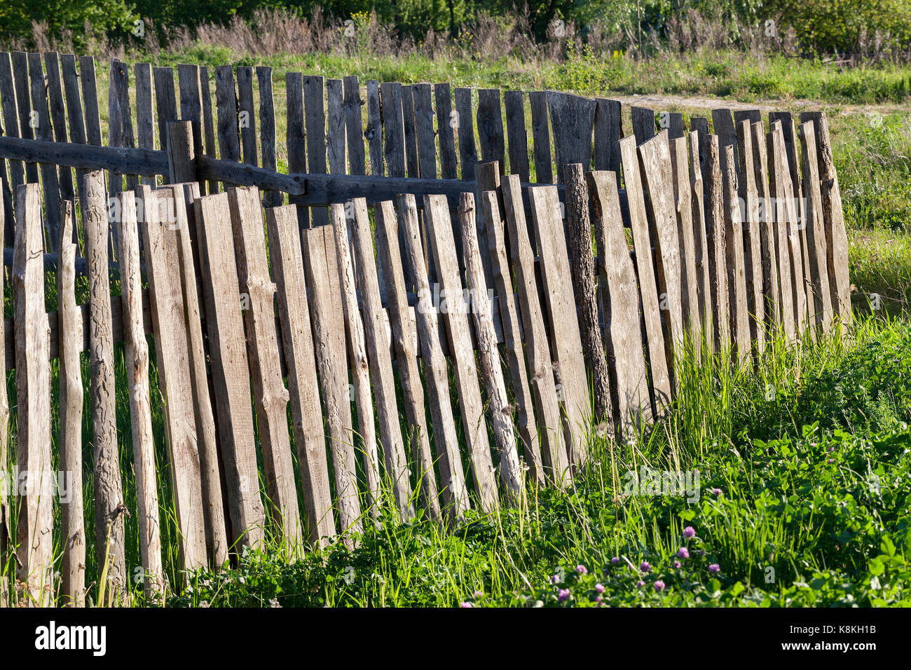 Timber defects hi-res stock photography and images - Alamy