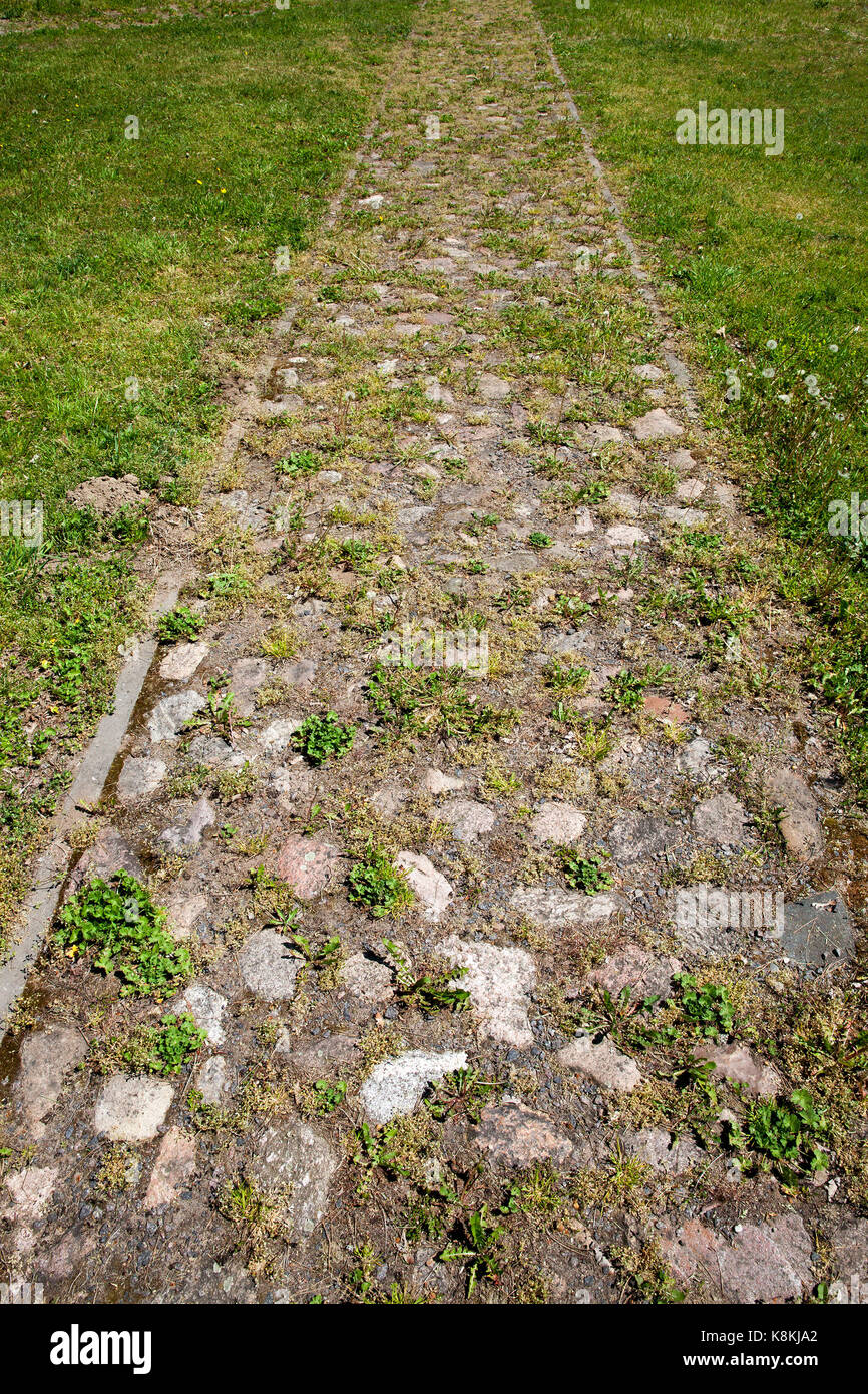 Stone road for people. Photo close-up. Through the stones grew green ...