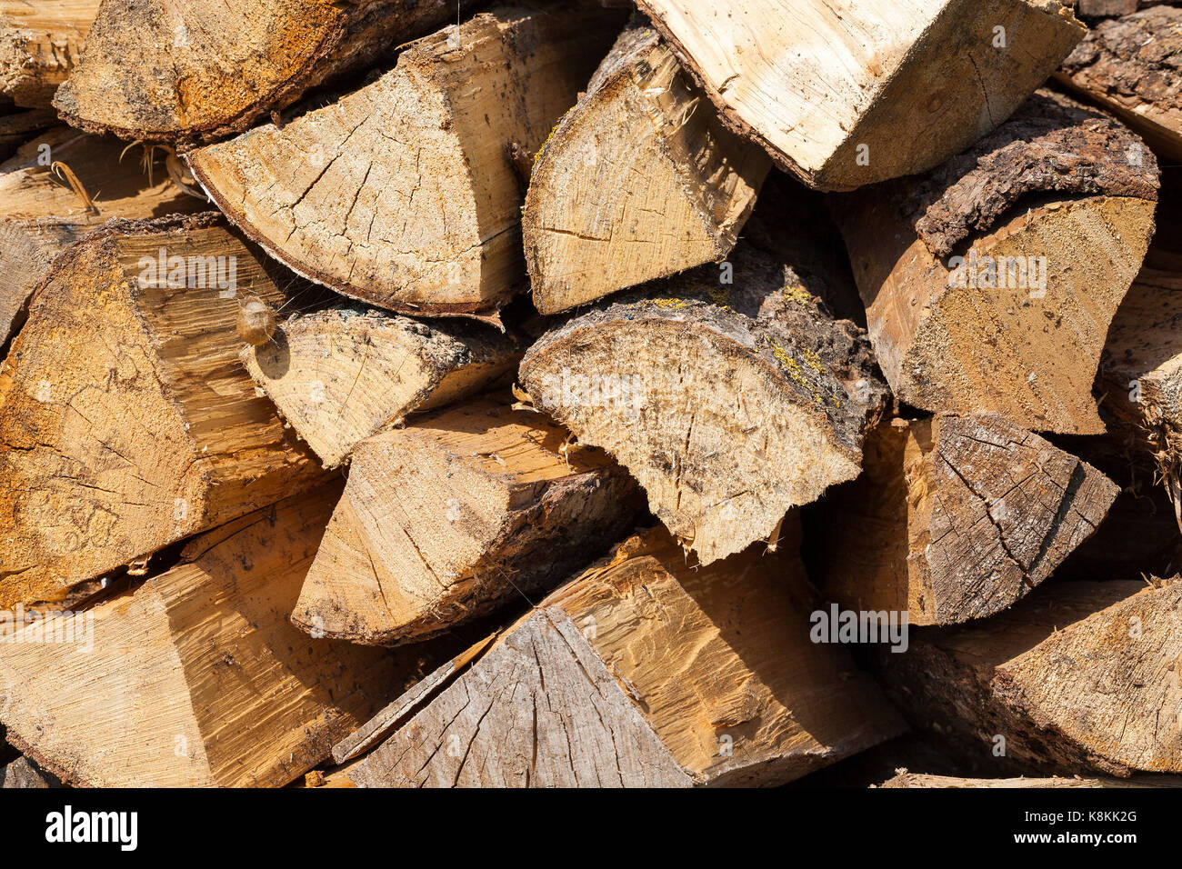 photographed close-up of a yellow trunk of a sawn wood chopped into ...