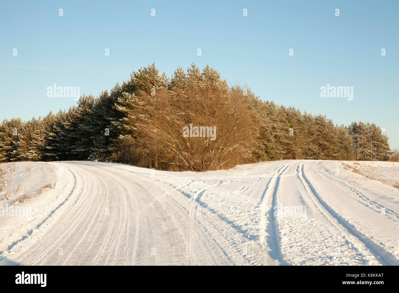the division of the road into two routes in front of the forest. Winter ...