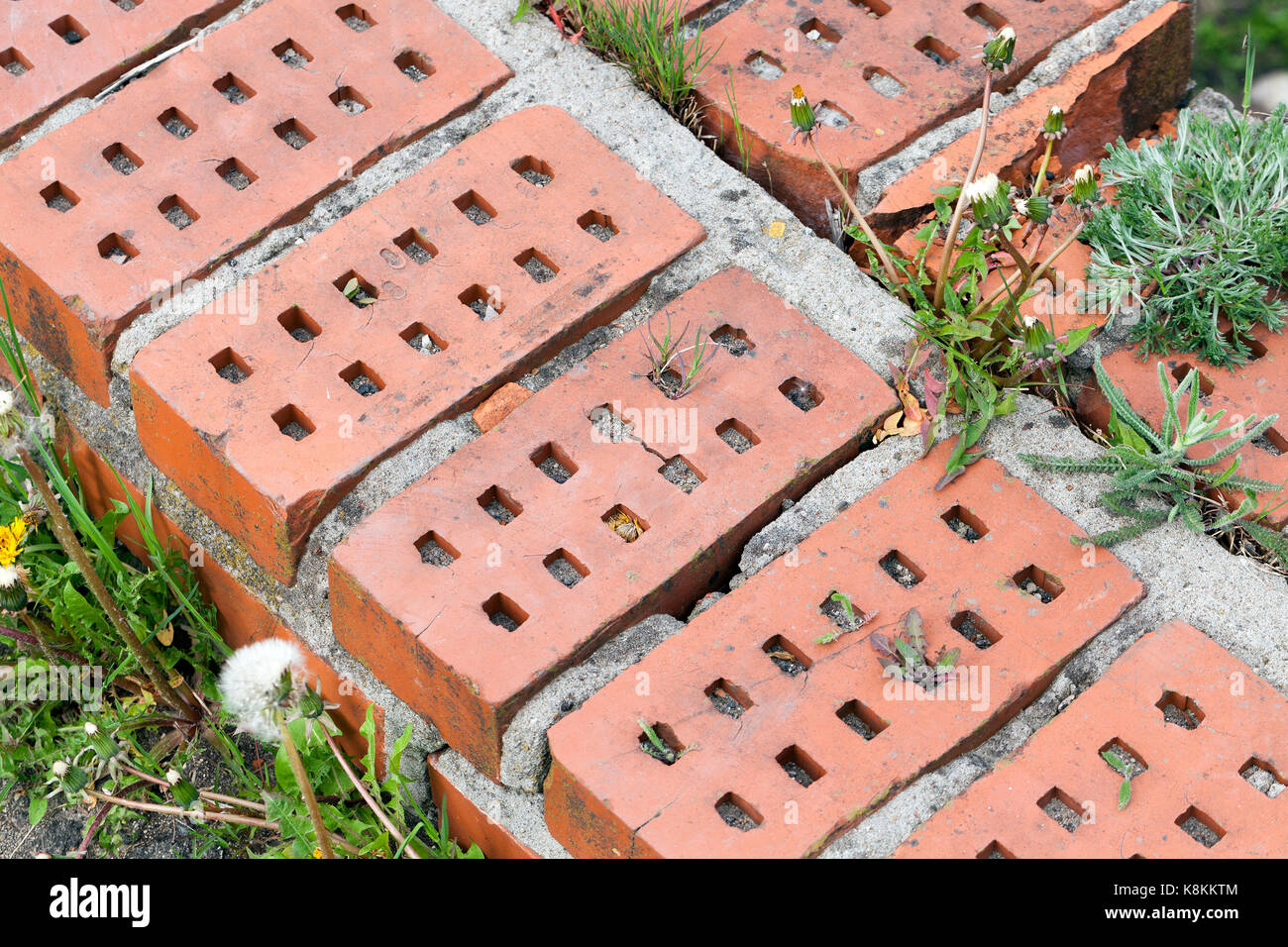 New brickwork made of red bricks made of clay. Photo close up Stock ...