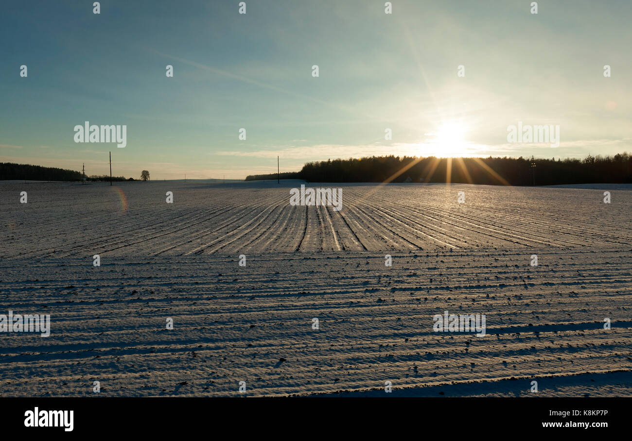 photographed snow after a snowfall during a frost. Close-up with a ...