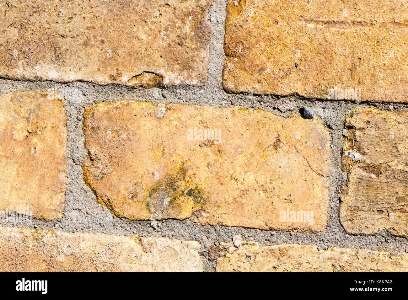 photographed close-up of a yellow old brick used as a floor. On the ...