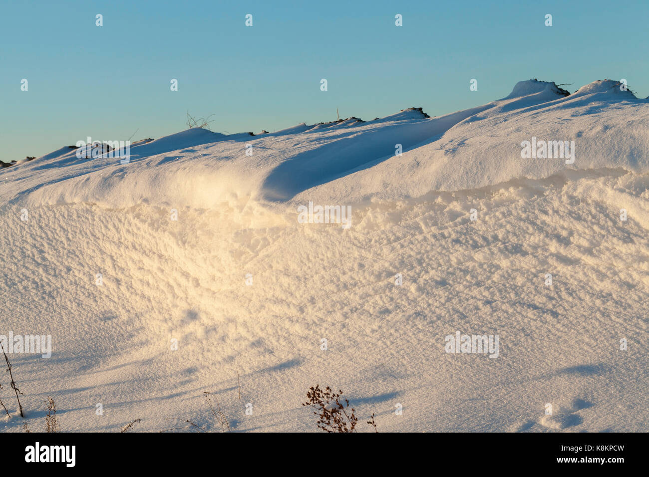 snow photographed in the winter season, which appeared after a snowfall ...
