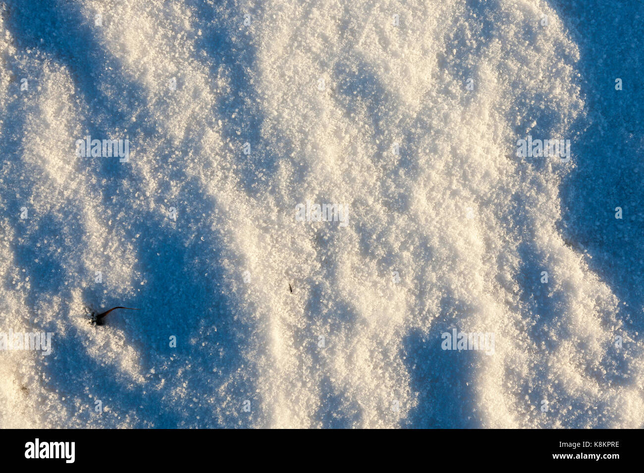 snow photographed in the winter season, which appeared after a snowfall ...