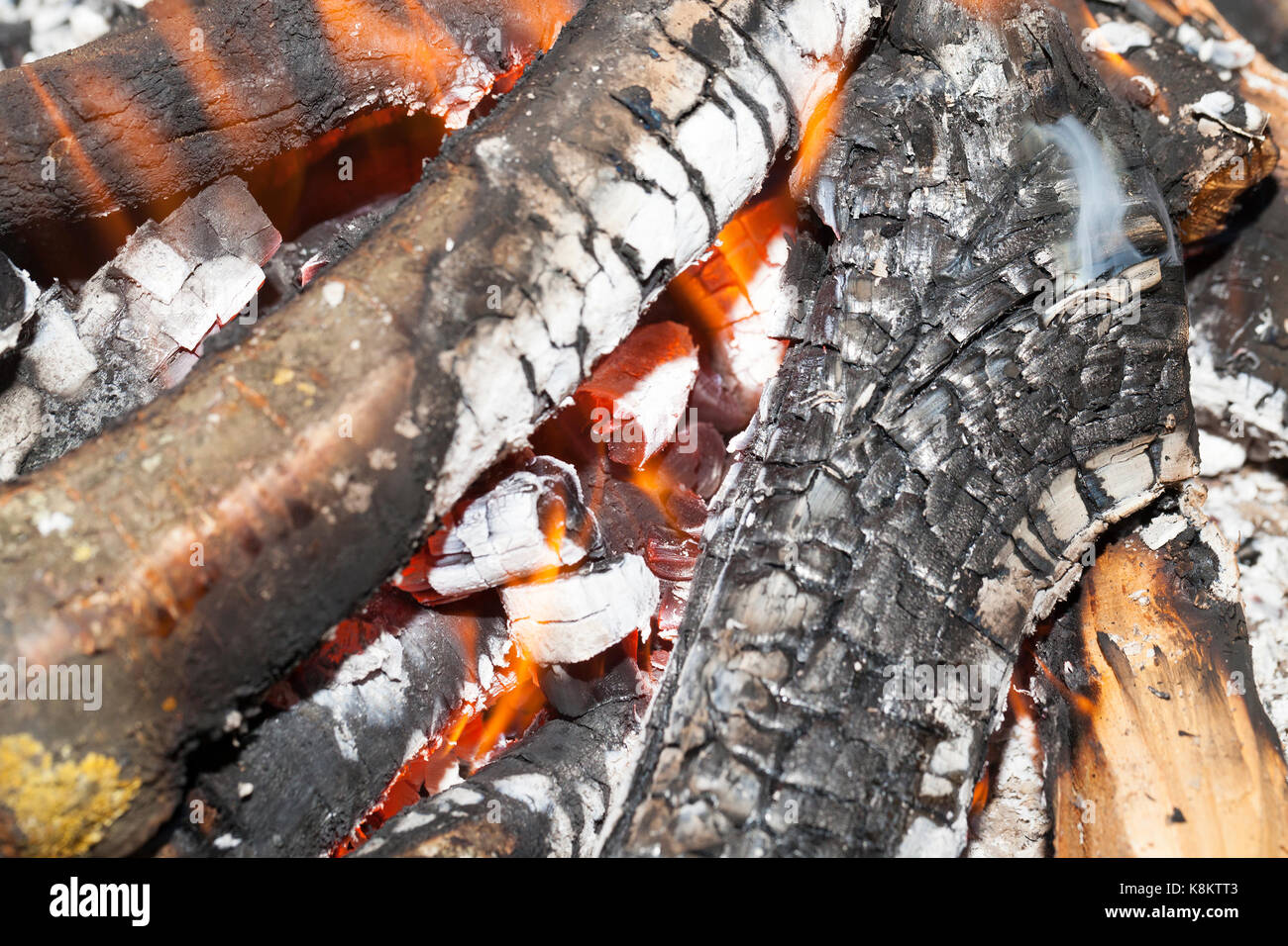 burning firewood, branches of birch wood in the fire. There is a flame ...