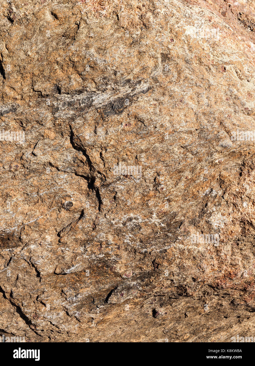 picture of a close-up of a large stone. There are protrusions and ...