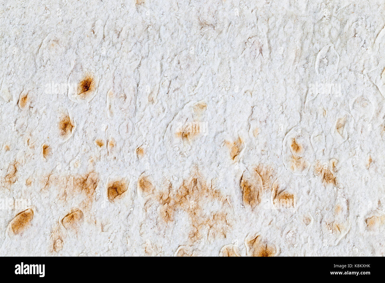 texture of white wheat lavash with yellow spots. photo close up Stock ...
