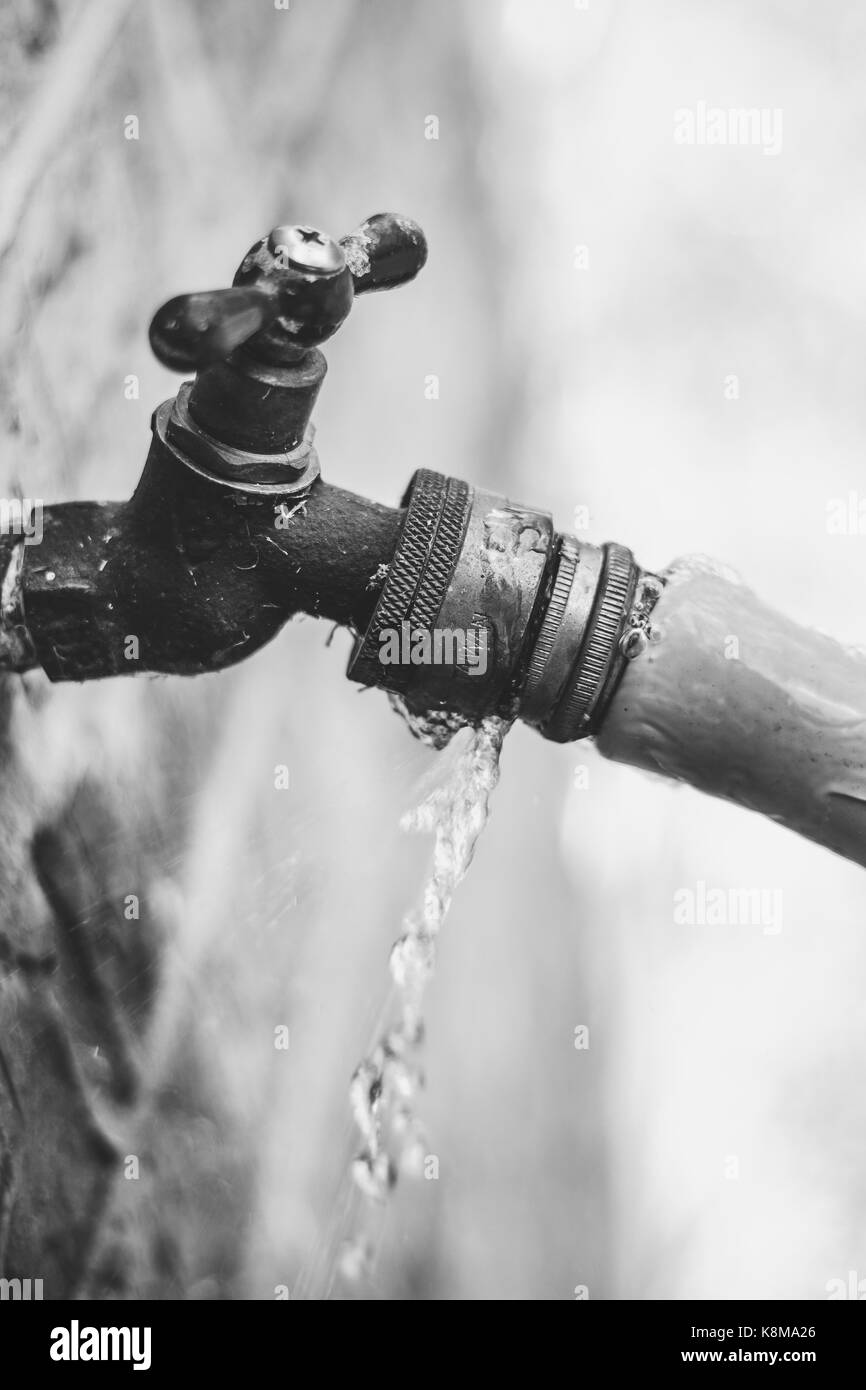 Orange highlights Black and White Stock Photos & Images - Alamy