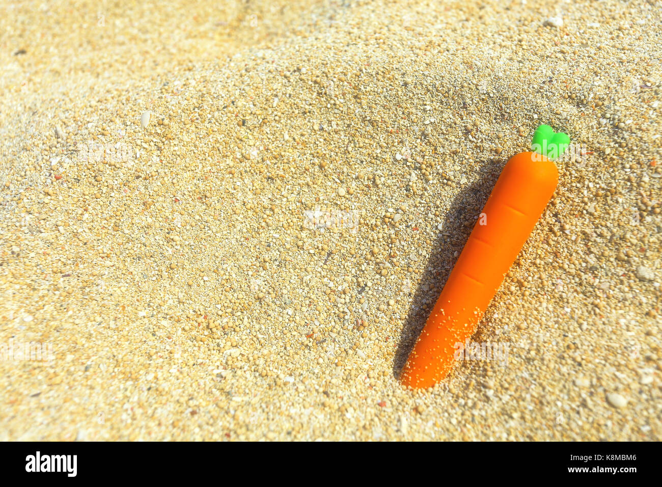 Little carrot hi-res stock photography and images - Alamy