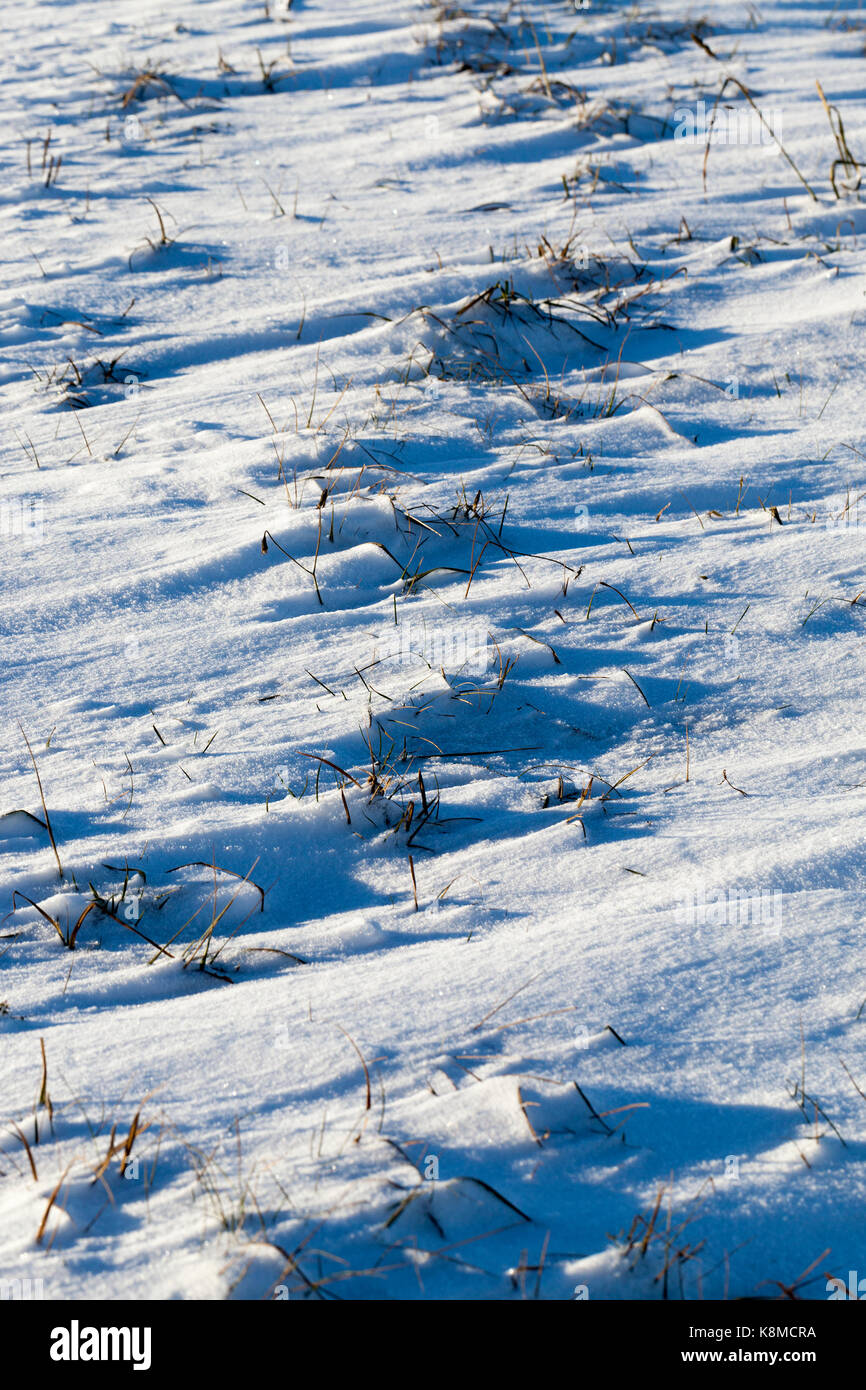 snow photographed in the winter season, which appeared after a snowfall ...