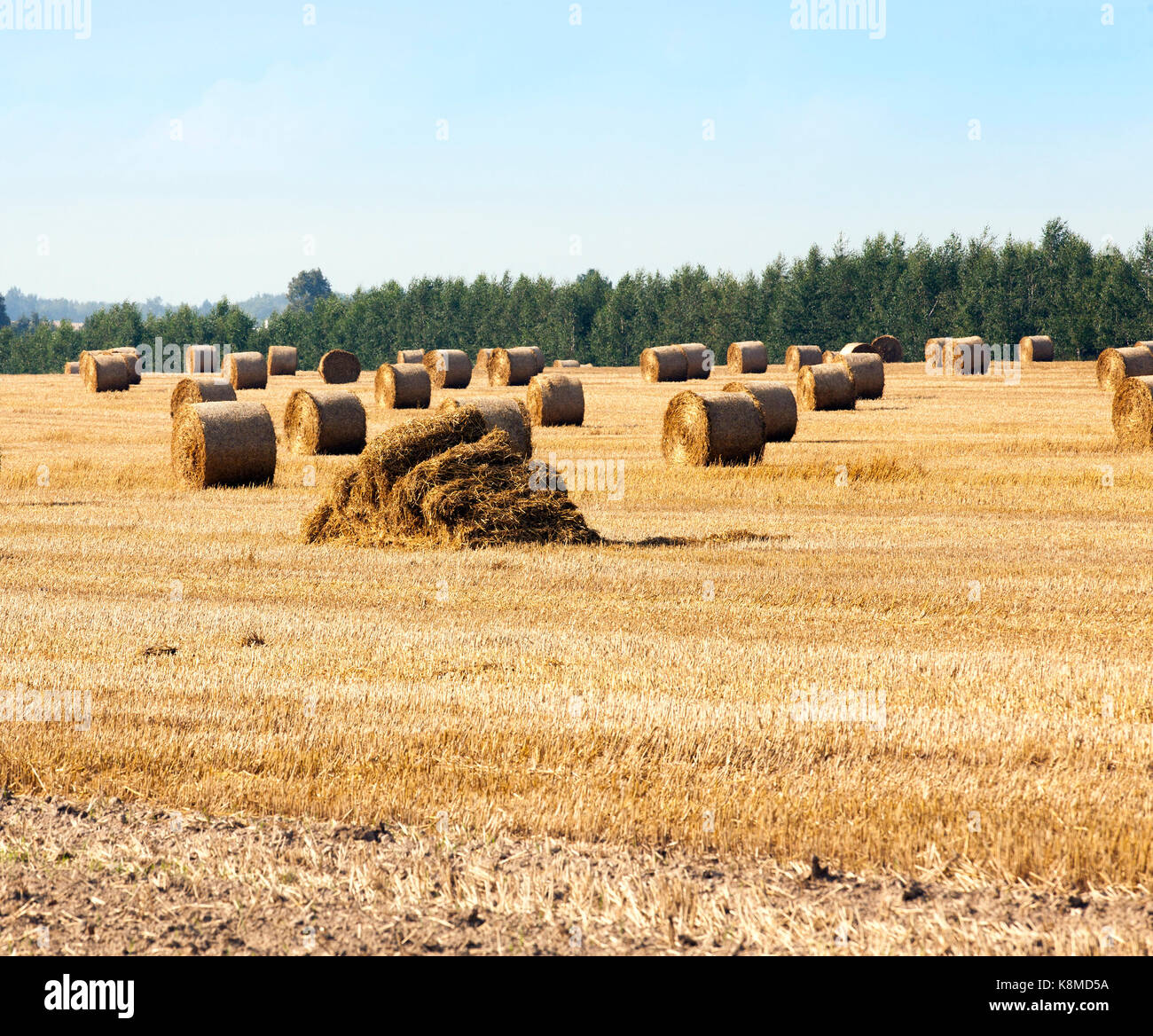 one destroyed and a large amount of straw stack photographed in an ...