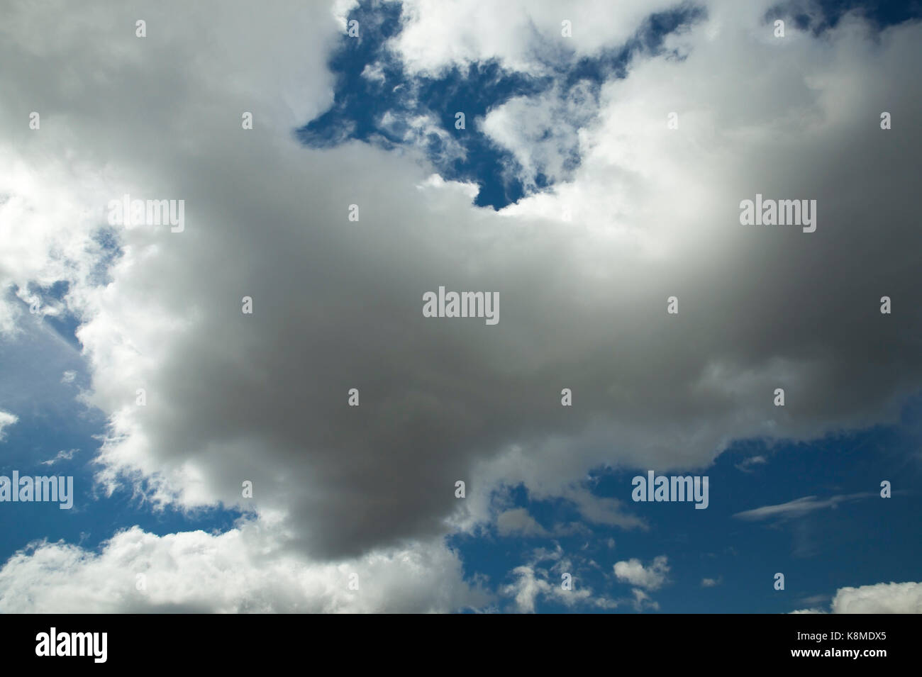 cumulus clouds that are in the blue sky. Picture with a shallow depth ...
