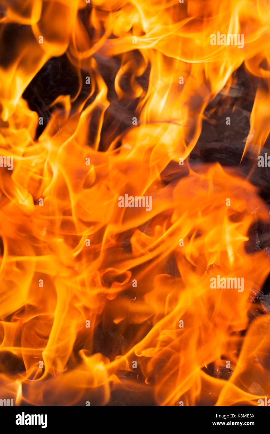 orange flame in a fire with firewood. photo is out of focus Stock Photo ...