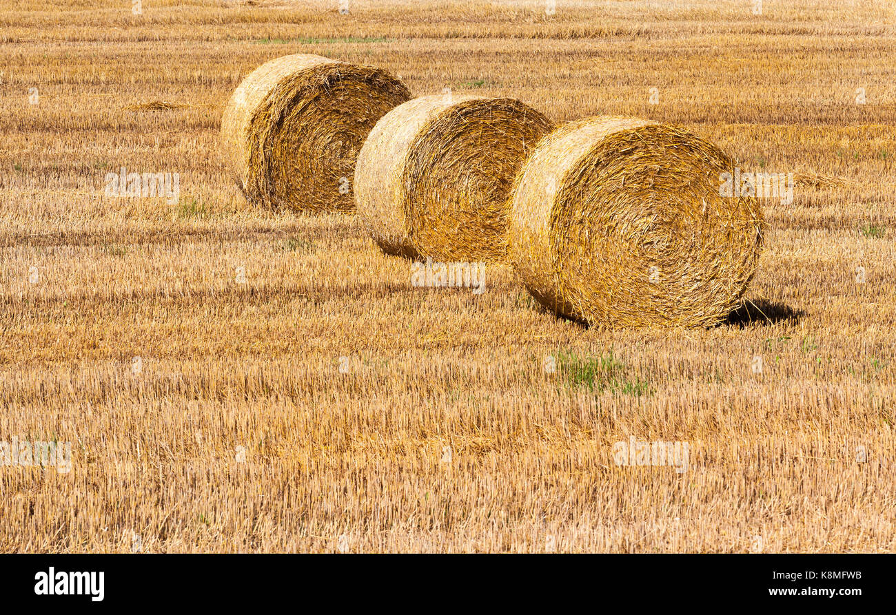 Haybale close hi-res stock photography and images - Alamy
