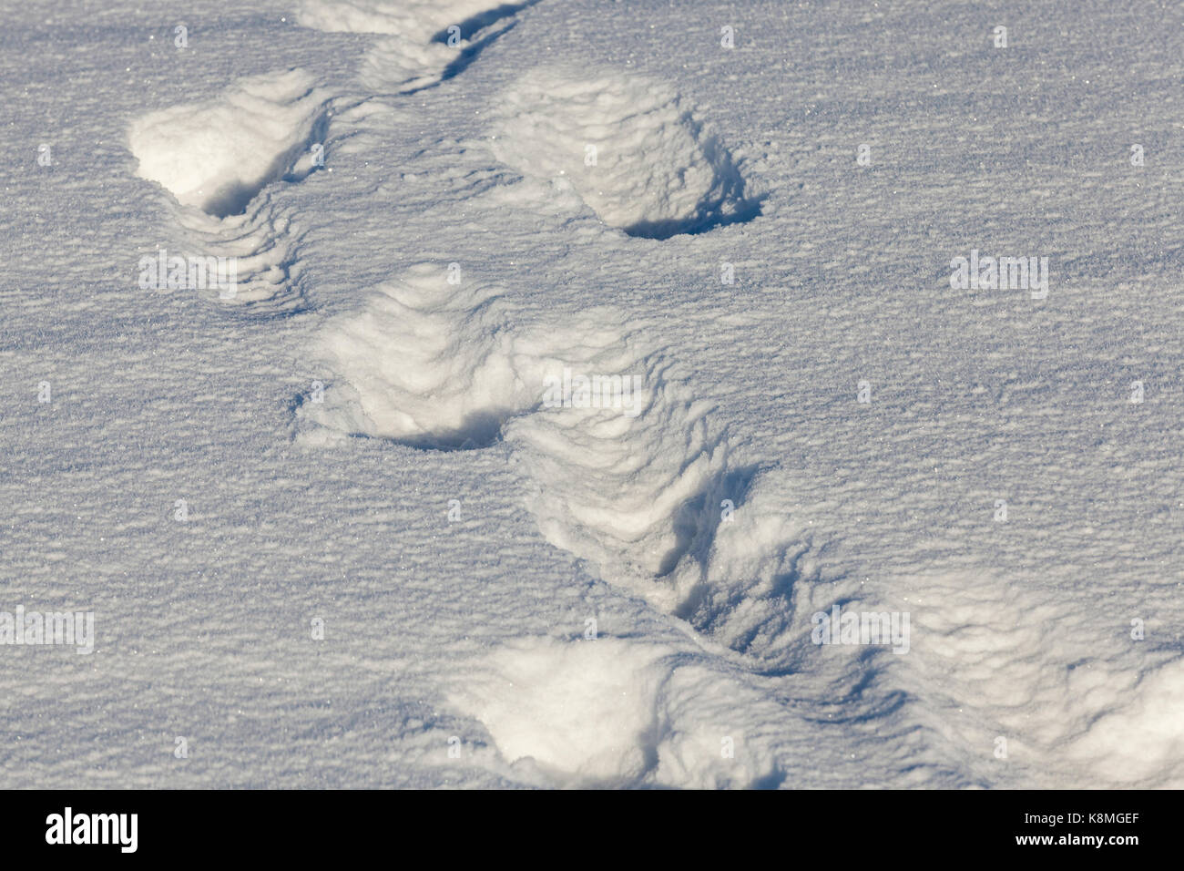 deep snow drifts in the winter season. on the surface of the track many ...