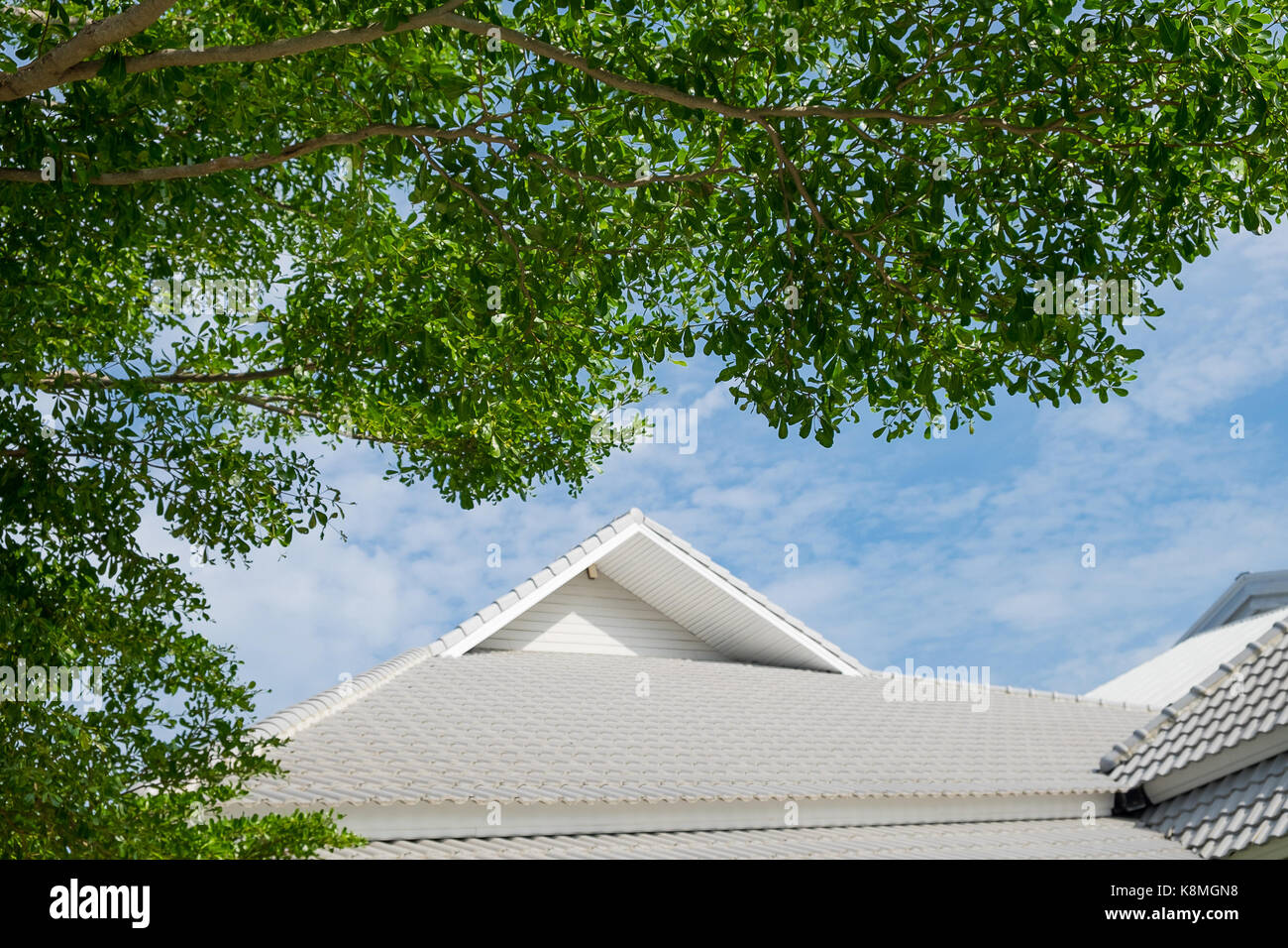 Roof of the house with green tree, blue sky and cloud. building with ...