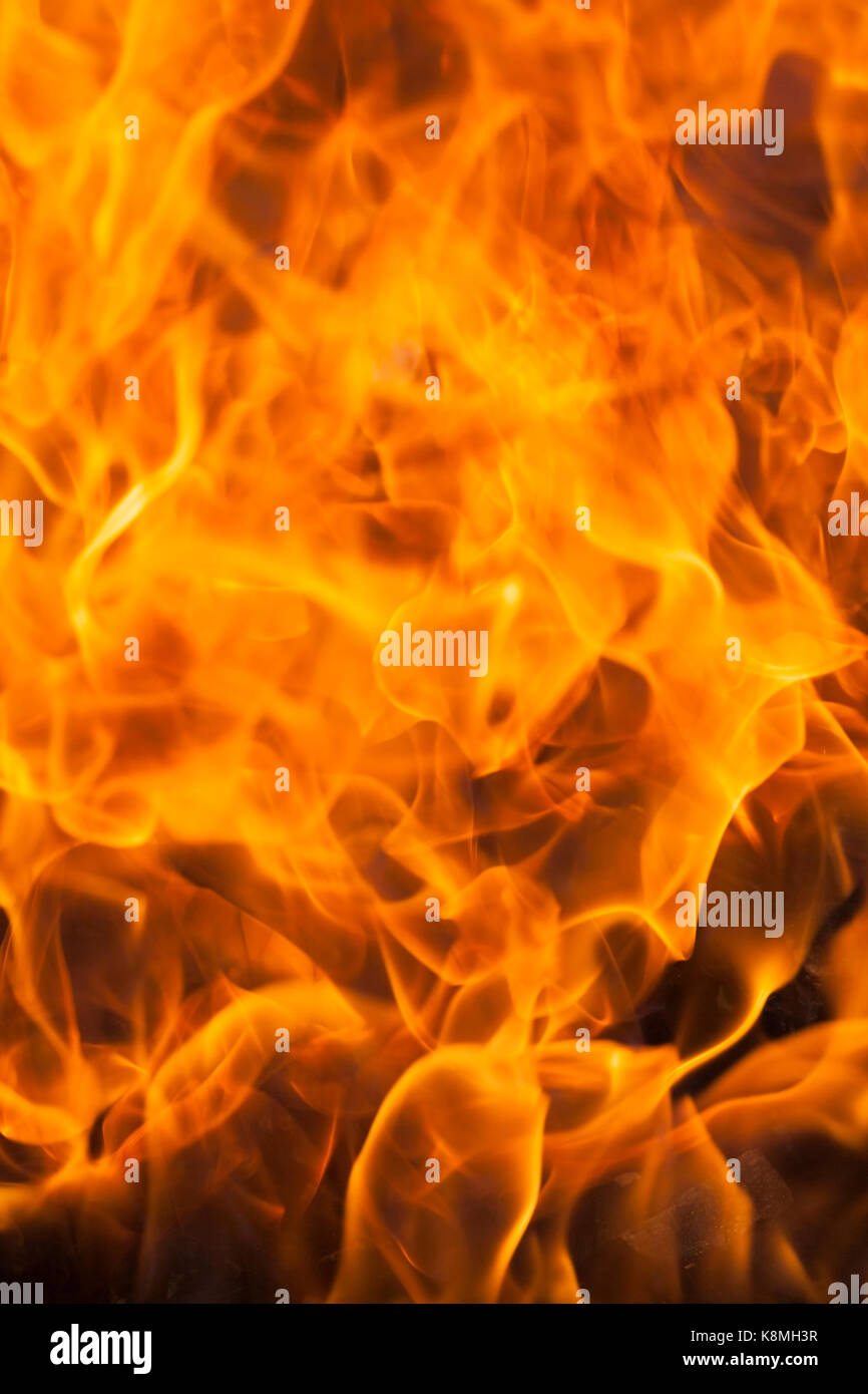 A real orange hot flame of fire during a flash. Photo close-up. The ...