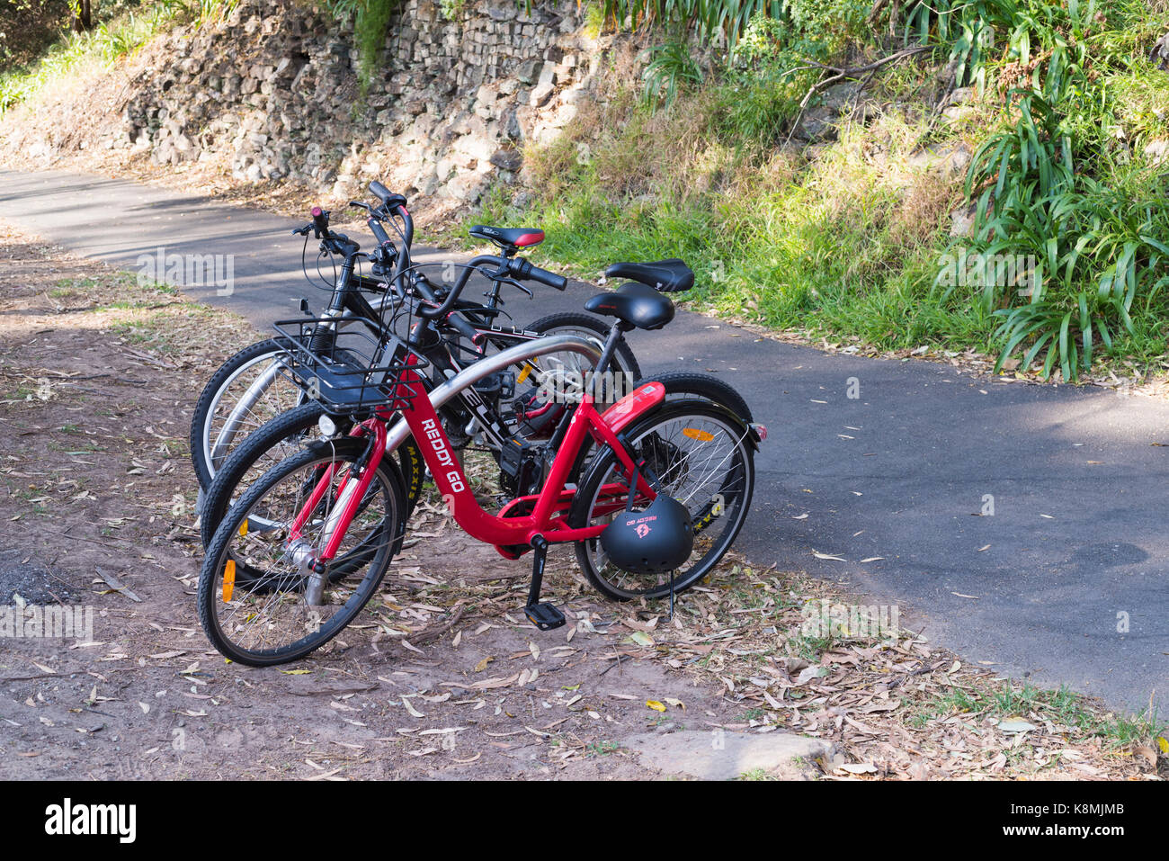 Reddy Go bike in park Stock Photo - Alamy