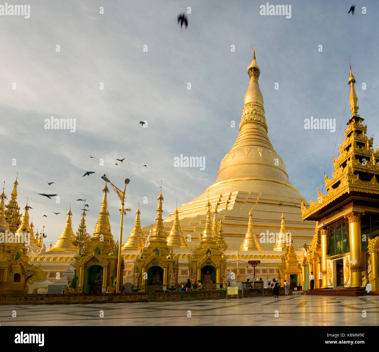 Birds flying past Shwedagon Pagoda, Yangon, Burma, Myanmar, Southeast ...