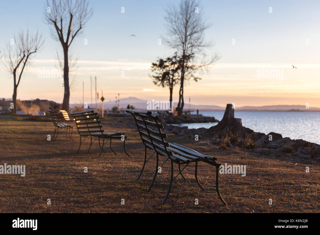 Sitting benches on a lake shore at sunset Stock Photo - Alamy