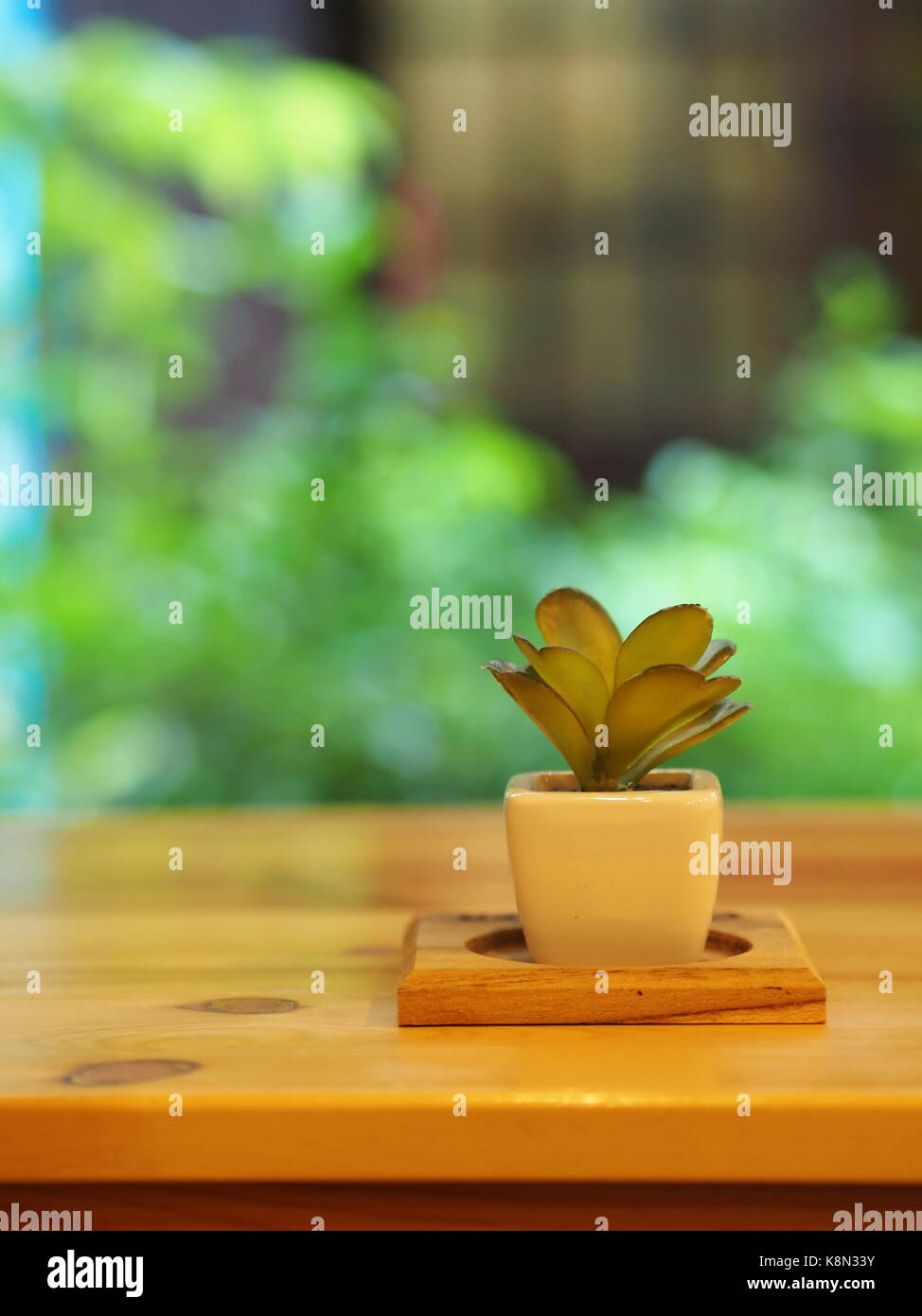 Four leaf clover style leaves hi-res stock photography and images - Alamy