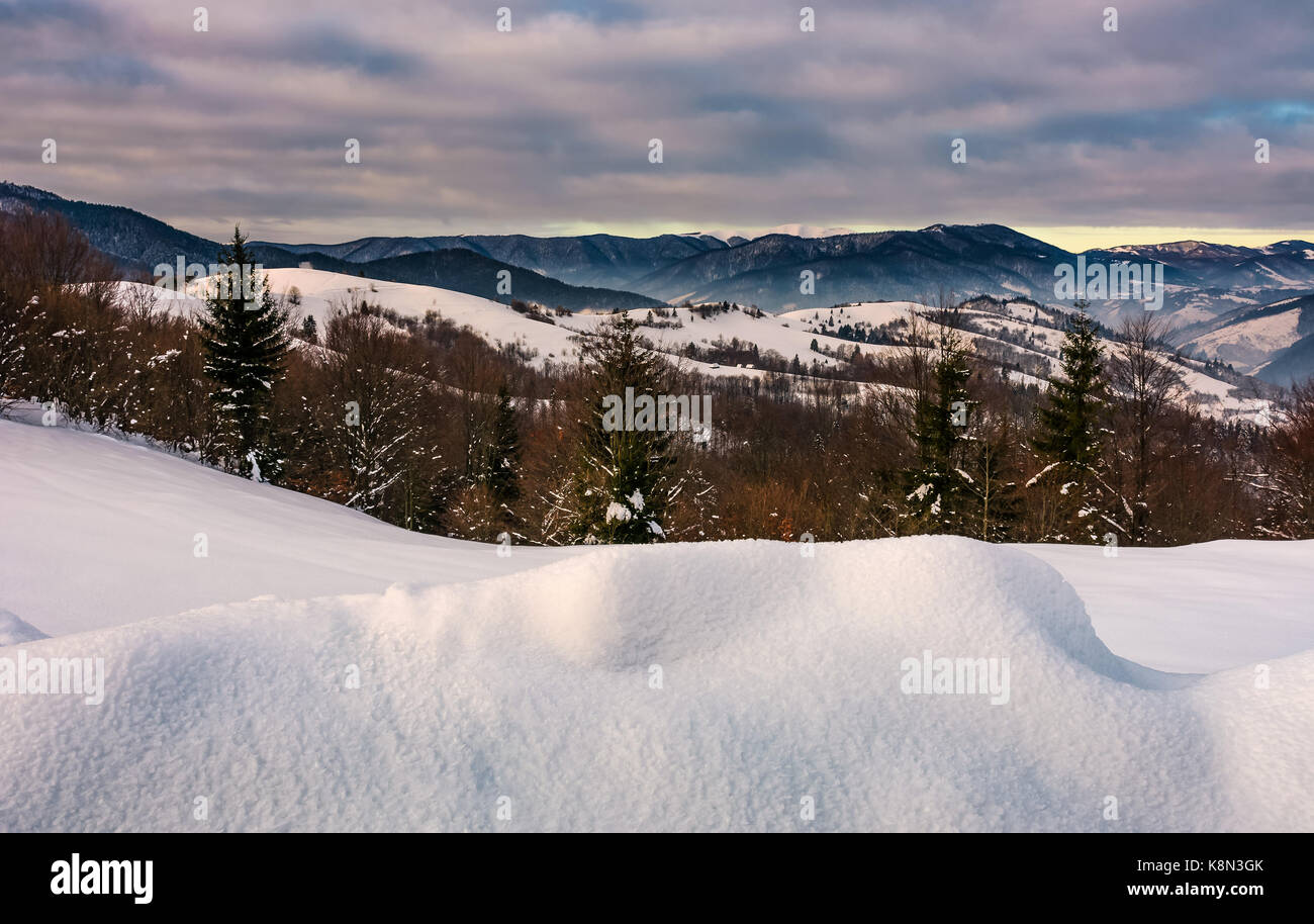 Beautiful winter woodland scene hi-res stock photography and images - Alamy