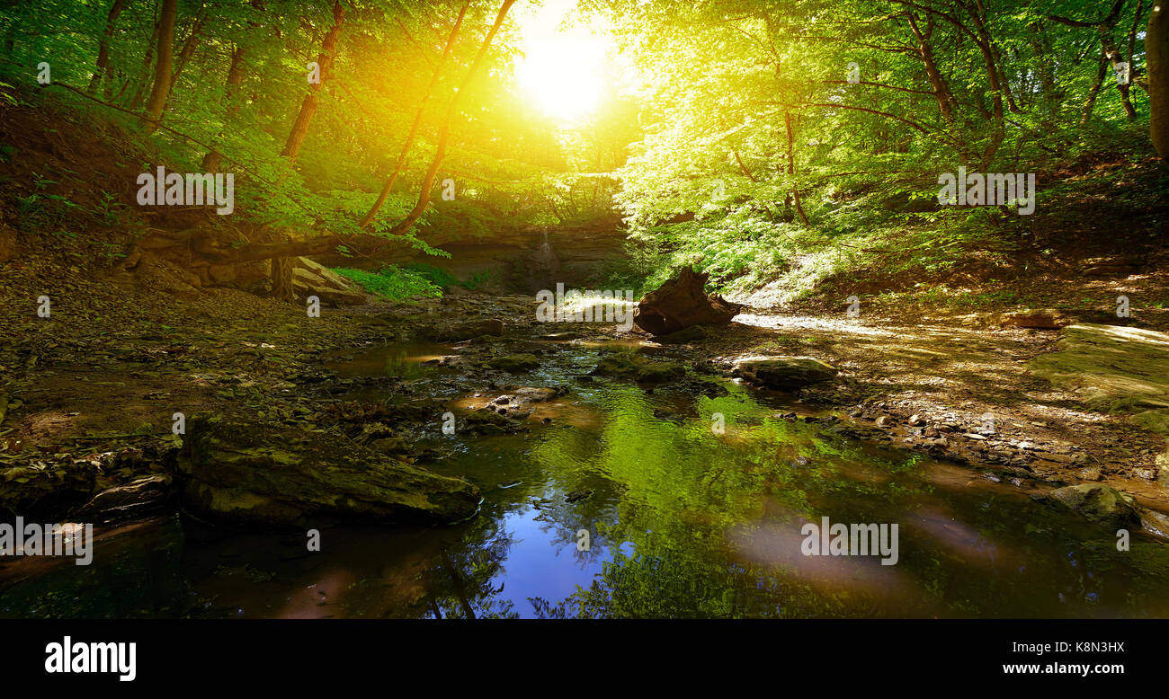 Spring Nature. Beautiful Landscape. Park with Green Grass and Trees ...