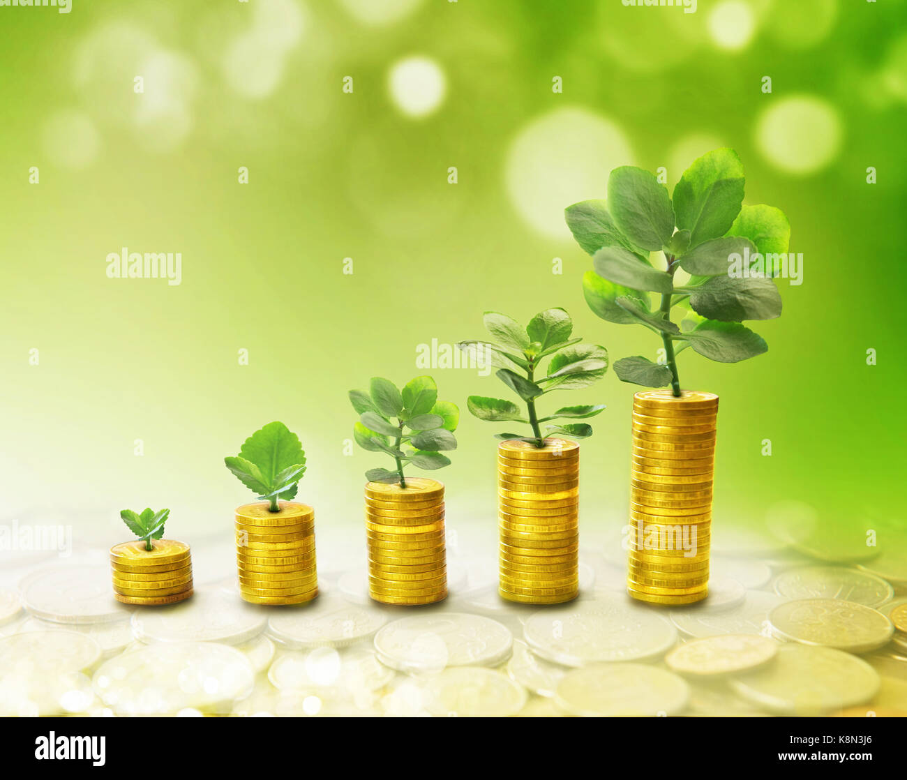 The process of growth of income in the form of the germ, as graphics ...