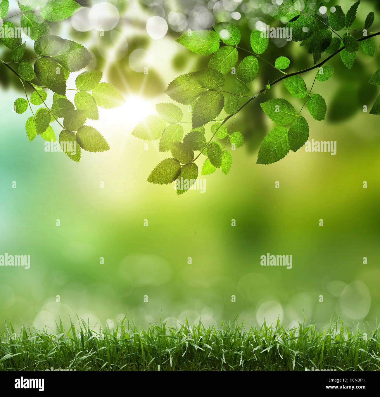 Spring or summer season abstract nature background with grass and blue ...