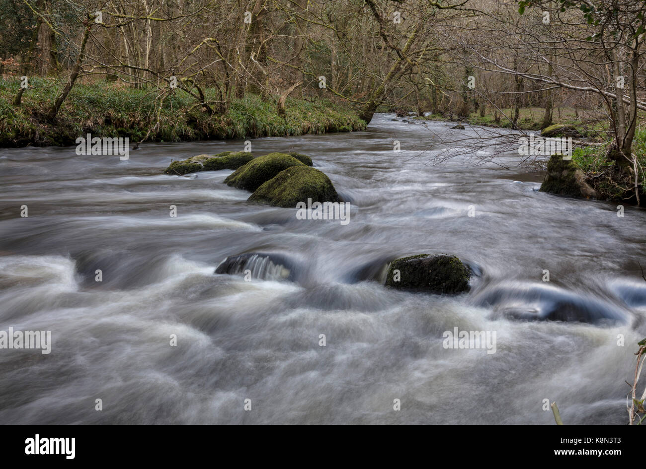 River Teign in spring, below Castle Drogo, Dartmoor, Devon Stock Photo ...