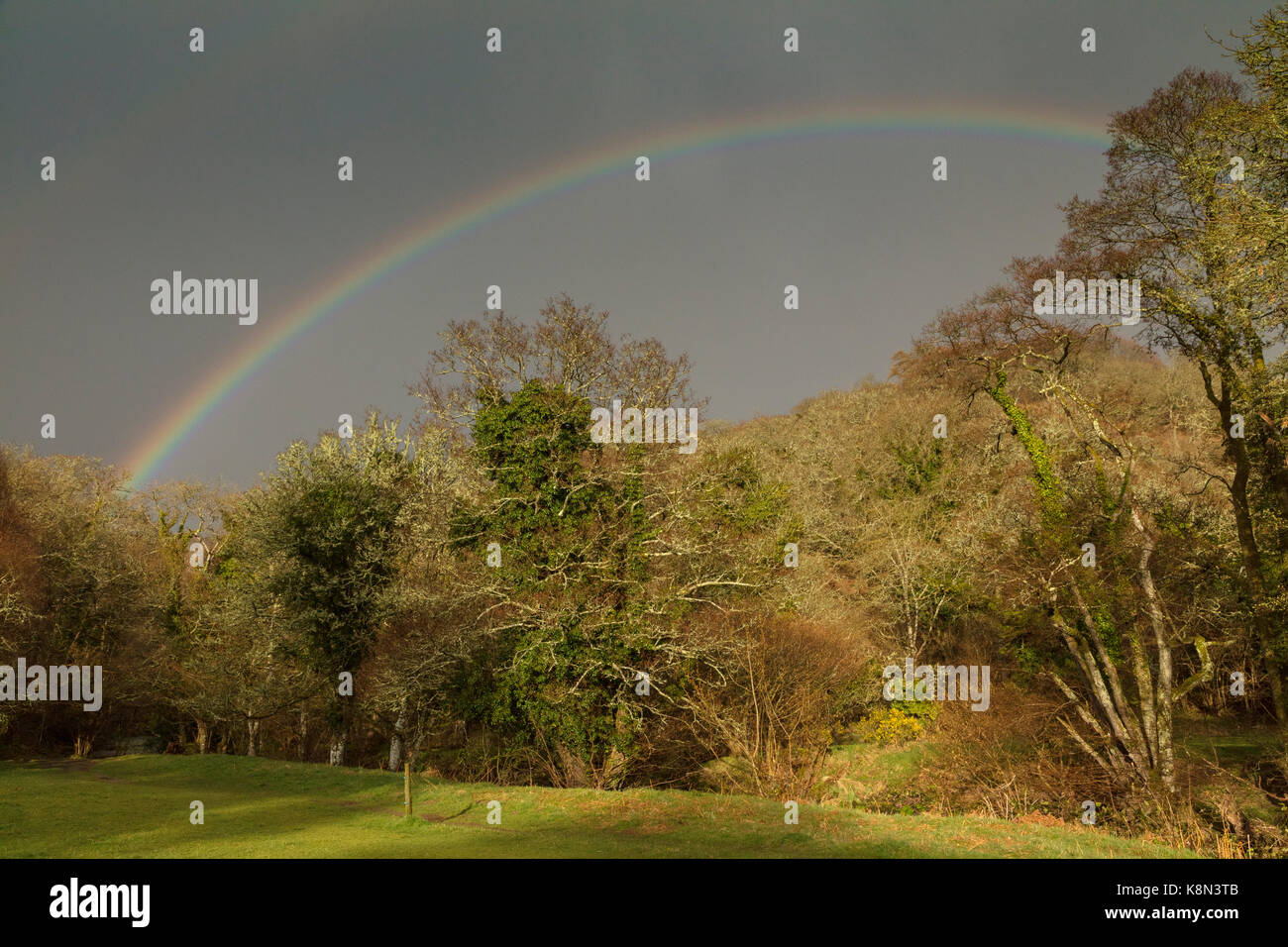 Rainbow over theTeign valley in spring, below Castle Drogo, Dartmoor ...