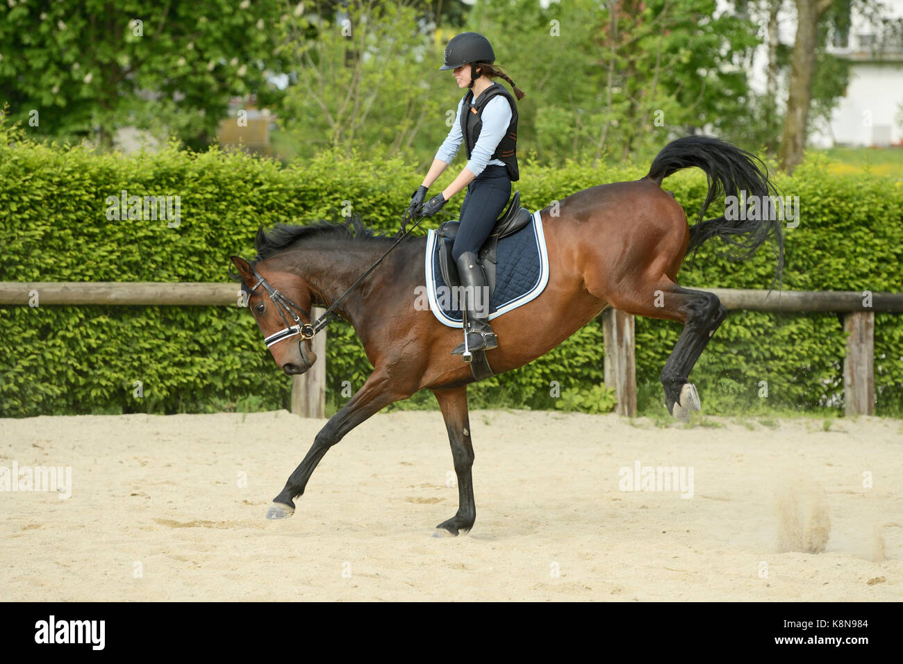 Young rider wearing a body protector on back of a bucking horse Stock ...