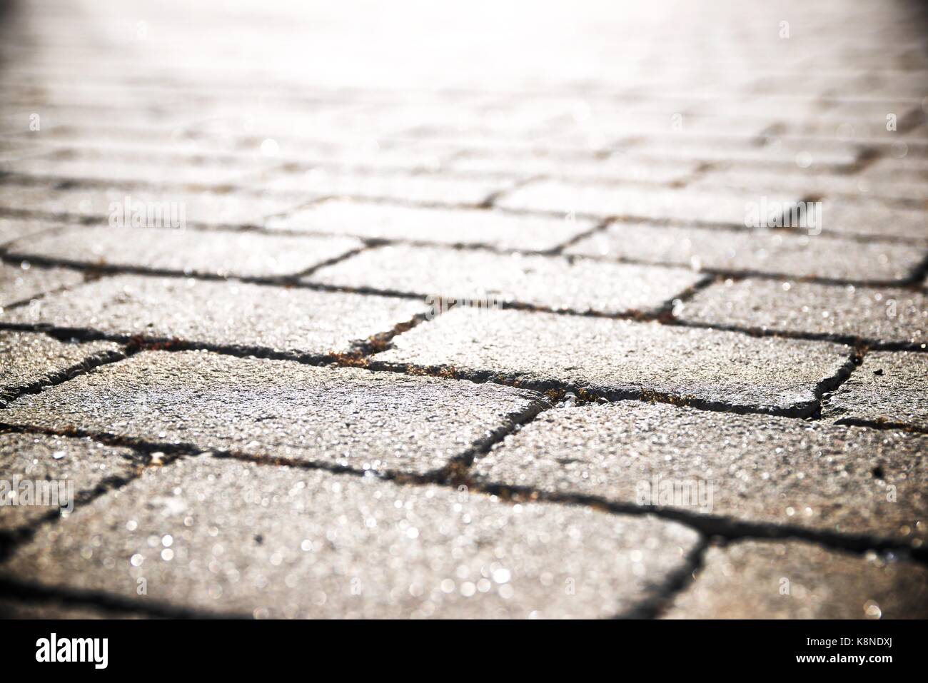 Floor of a street with stone tiles Stock Photo - Alamy