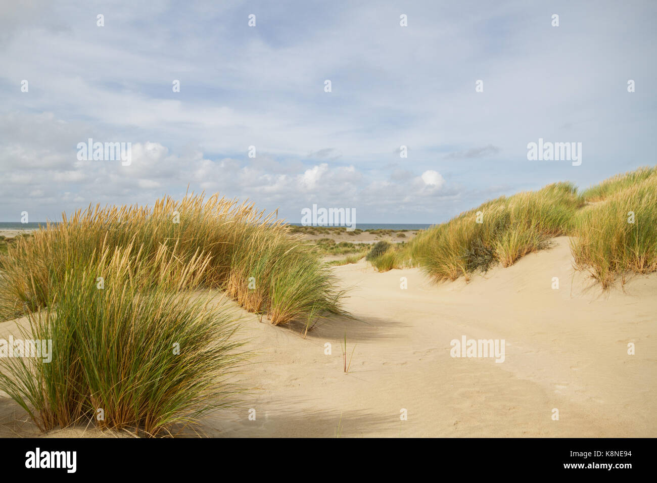 View on beach and see from the dunes Stock Photo - Alamy