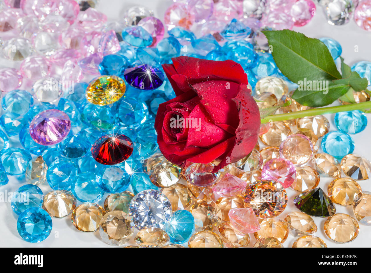 drop of water on red rose flower. red rose flower is on the blue ...