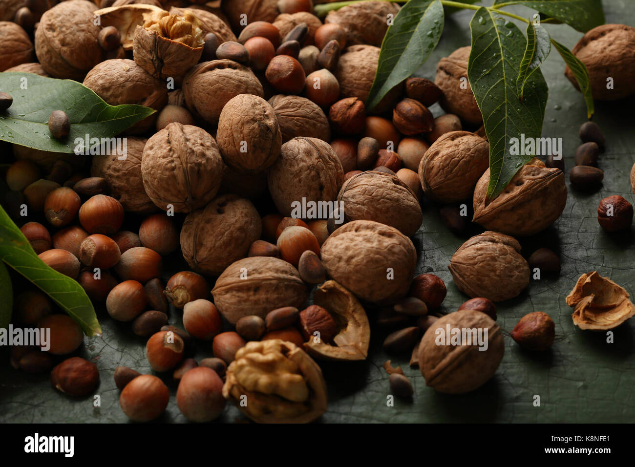 Hazel nuts husk hi-res stock photography and images - Alamy