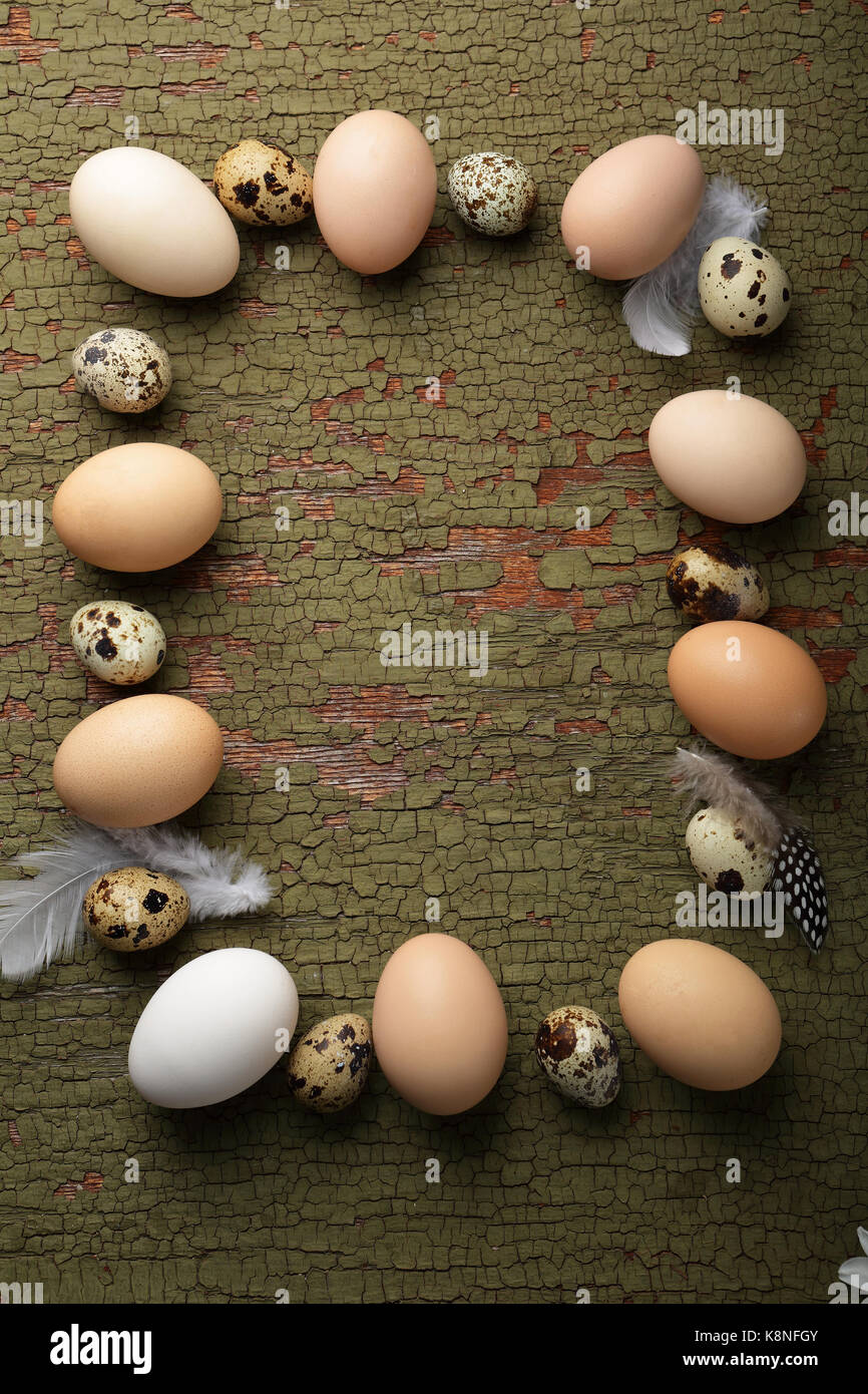 Frame made of eggs hi-res stock photography and images - Alamy