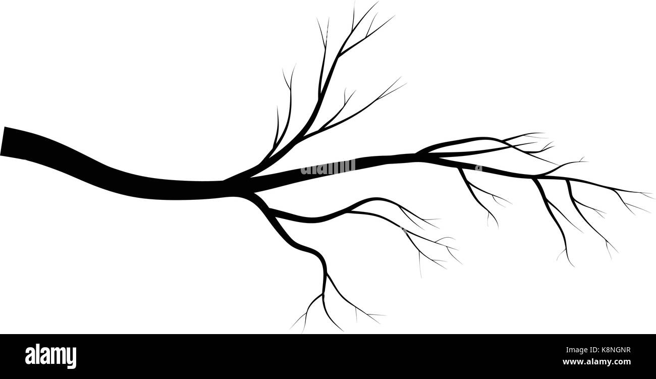 Simple Bare Tree Silhouette Drawing