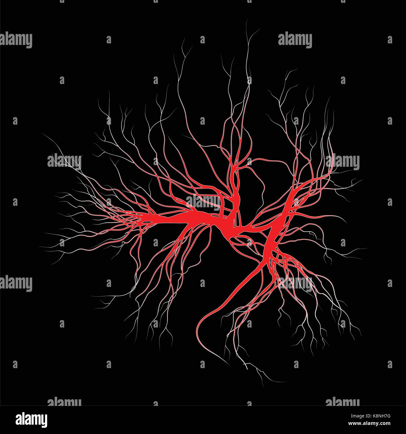 human veins, red blood vessels design. Vector illustration isolated on ...