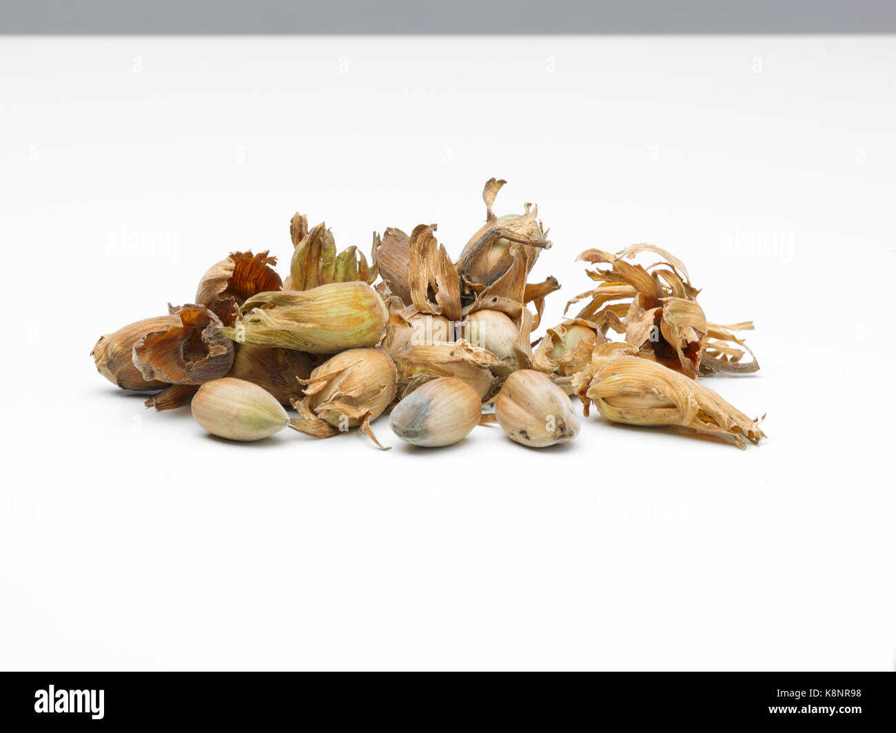 a pile of cob nuts on a white background Stock Photo - Alamy