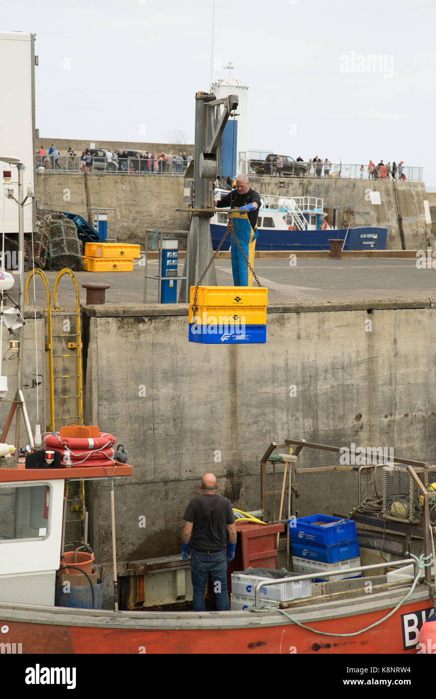 Unloading fish boxes from fishing hi-res stock photography and images ...