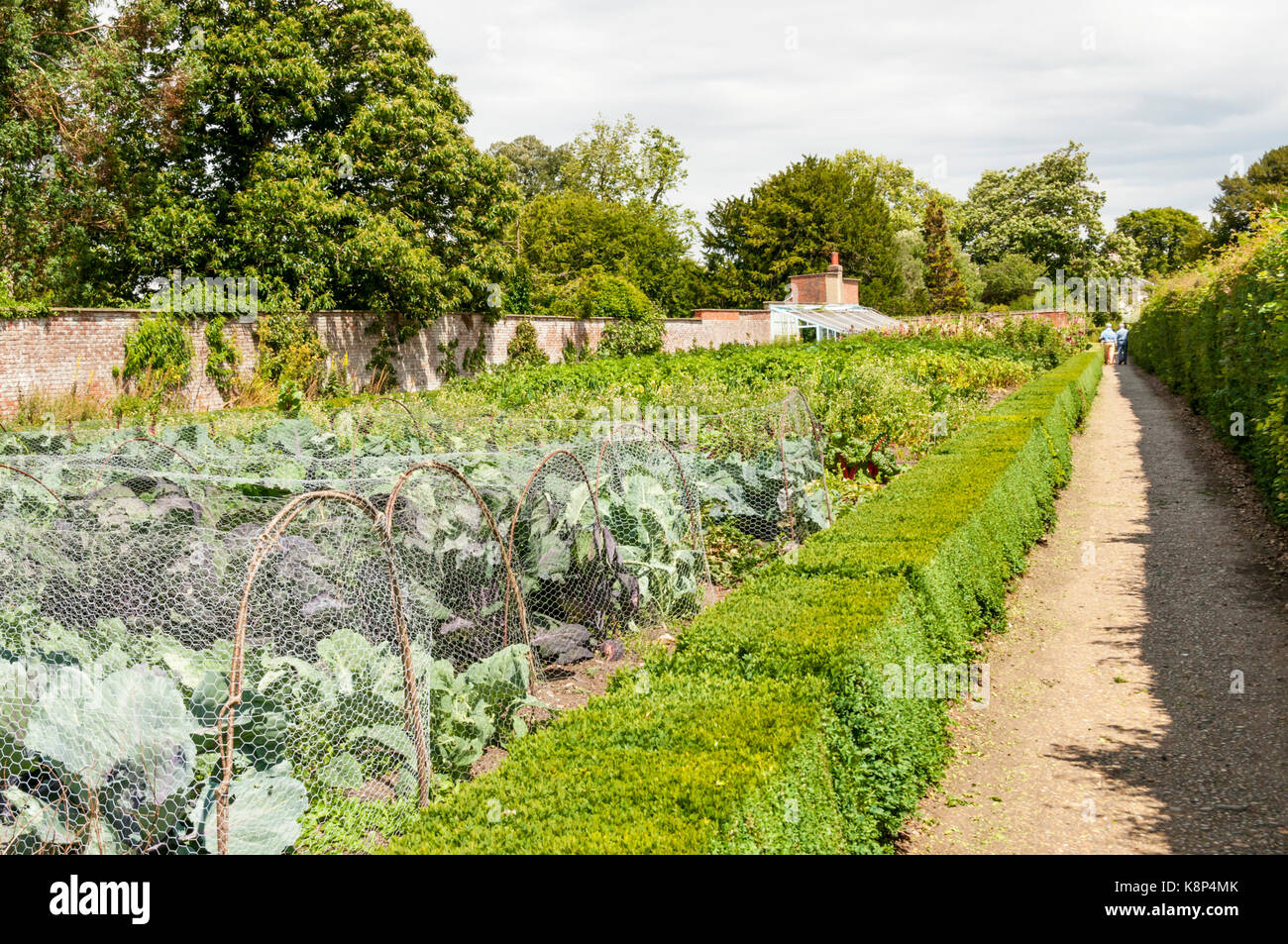 The vegetable garden of Down House, the home of Charles Darwin in the ...