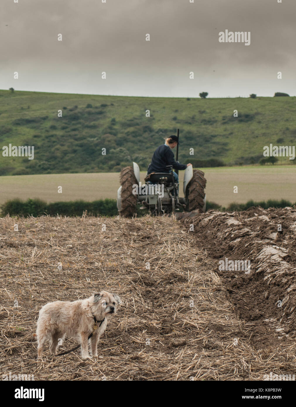 Female ploughing hi-res stock photography and images - Alamy
