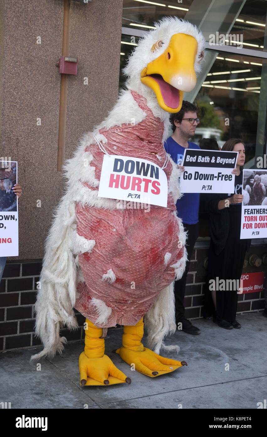 Los Angeles, California, USA. 20th Sep, 2017. PETA supporters and a ...
