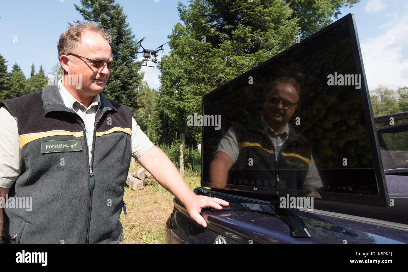 Freiburg, Germany. 20th Sep, 2017. Forestry scientist Uli Reimer ...