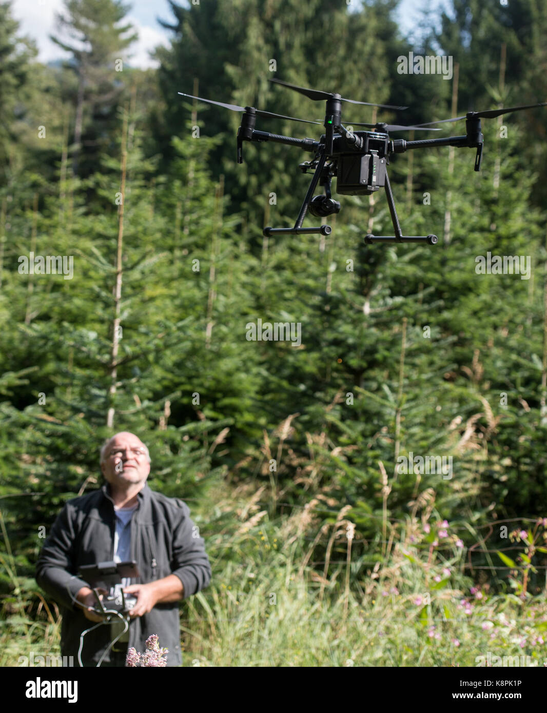 Freiburg, Germany. 20th Sep, 2017. Forestry scientist Uli Reimer ...