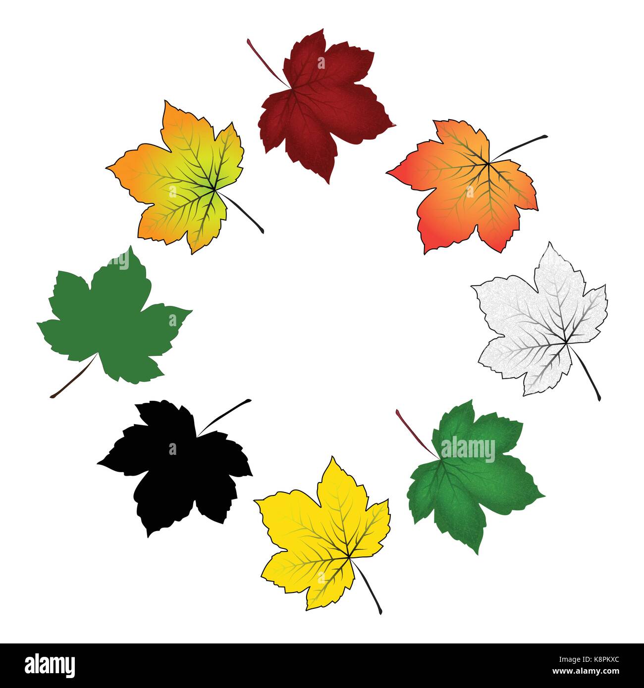 Set of colorful maple leaf . Vector illustration isolated on white background Stock Vector Image ...