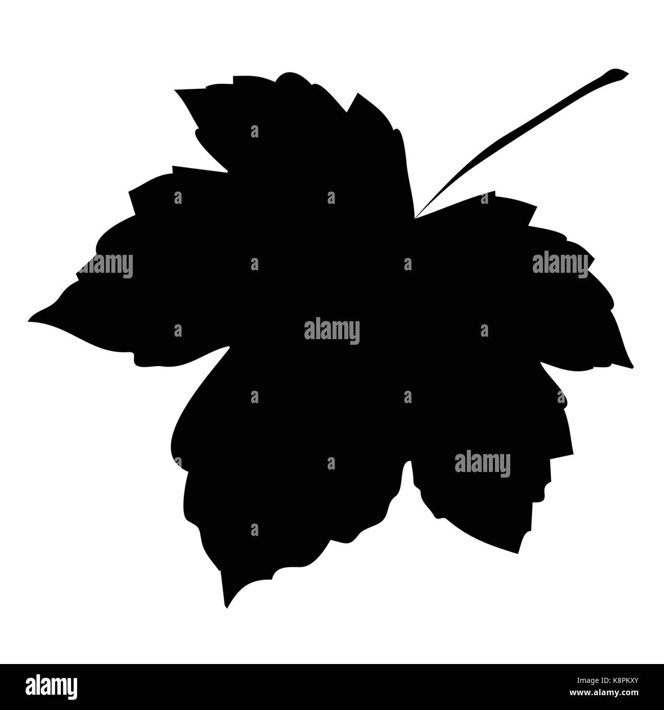 Maple Leaf Silhouette Vector